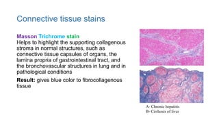 Special stains | PPTX