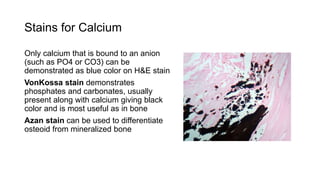 Special stains | PPTX
