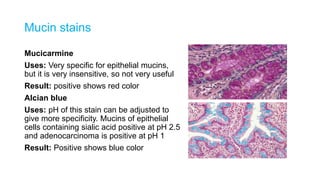 Special stains | PPTX
