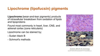 Special stains | PPTX