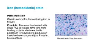 Special stains | PPTX