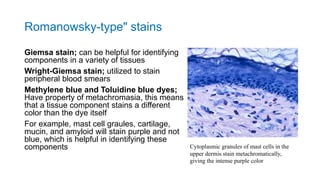 Special stains | PPTX