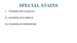 Special stains | PPTX