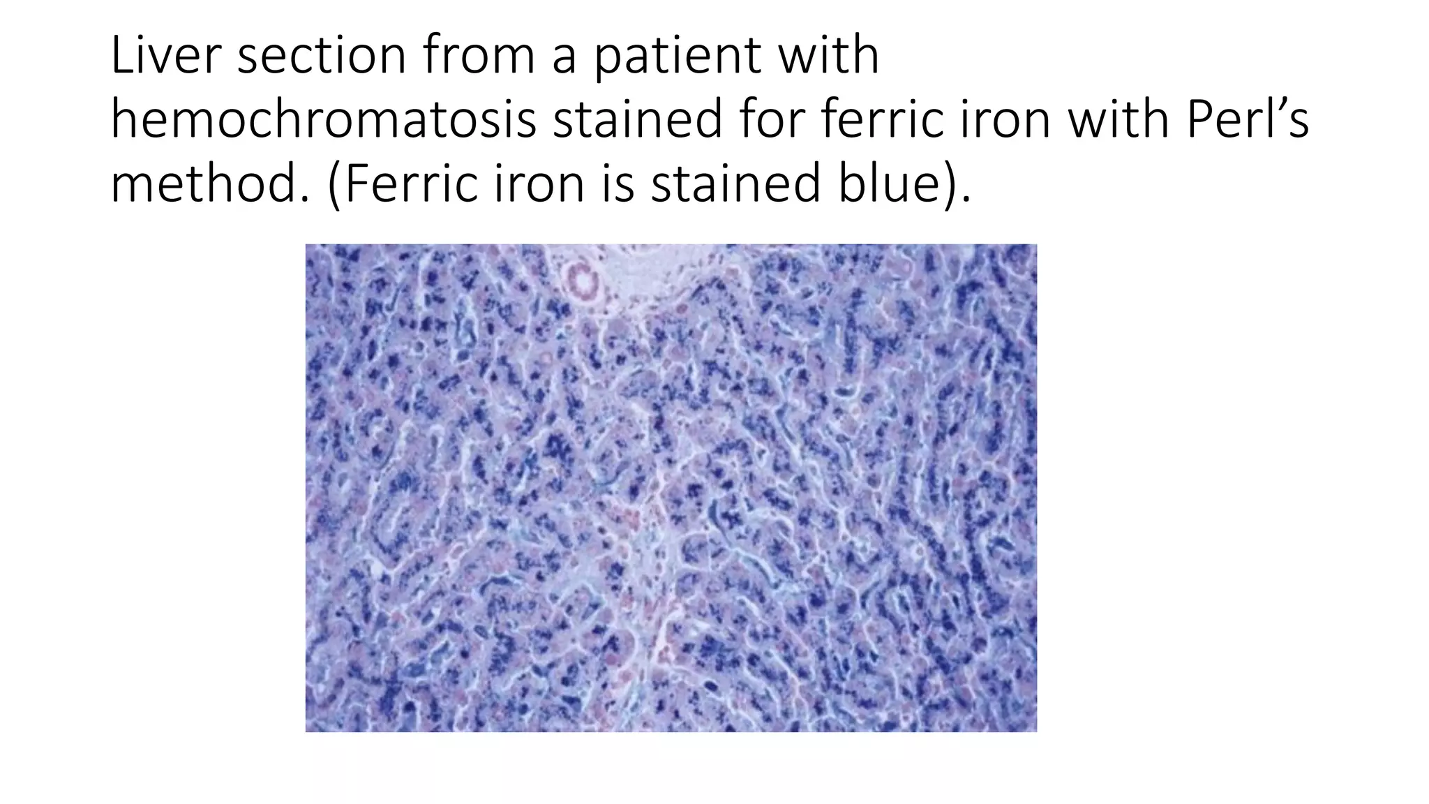 Special stains.pdf