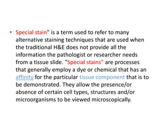 Special Stains.10.most important lecture | PPTX