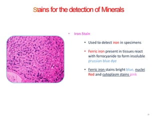 Special Stains.10.most important lecture | PPTX