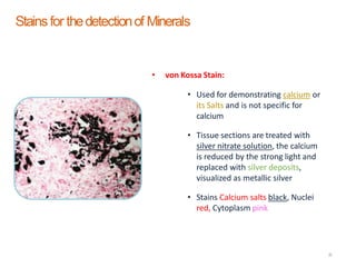 Special Stains.10.most important lecture | PPTX | Chemistry | Science