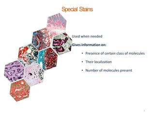 Special Stains.10.most important lecture | PPTX
