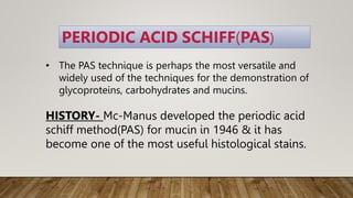 dentistry in special Special stains.pptx