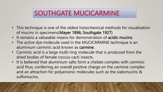 dentistry in special Special stains.pptx