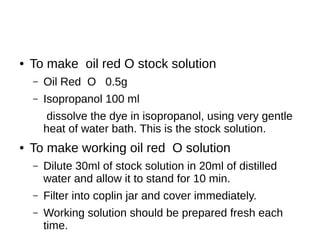 Special stains bmlt | ODP