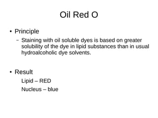 Special stains bmlt | ODP