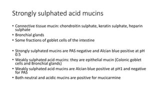 SPECIAL STAINS FOR THE CARBOHYDRATES, PROTEIN,.pptx
