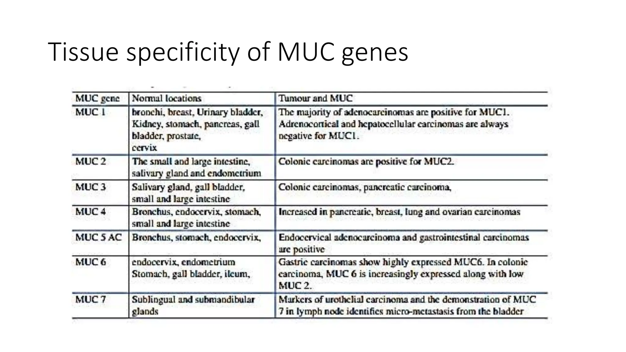 SPECIAL STAINS FOR THE CARBOHYDRATES, PROTEIN, (1).pptx