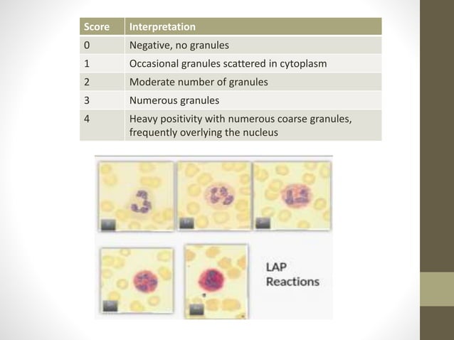 Special stains in hematology | PPTX