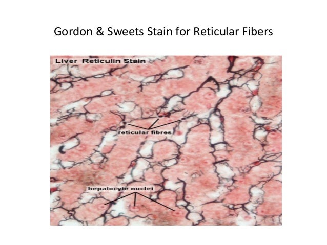 Special stains lecture 1 (1)