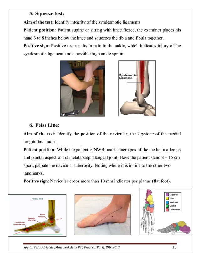 Special_test_for_all_joints.pdf | Death, Injury, or Military Conflict ...