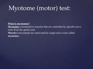special test for dermatomes and myotomes | PPT