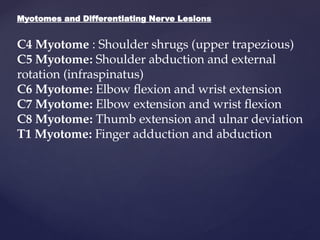 special test for dermatomes and myotomes | PPT