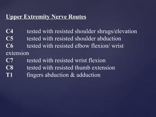 special test for dermatomes and myotomes | PPT