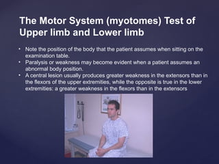 special test for dermatomes and myotomes | PPT