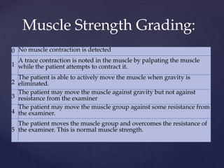 special test for dermatomes and myotomes | PPT