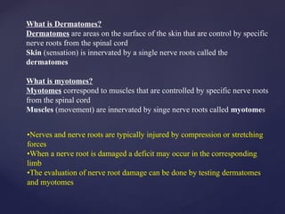 special test for dermatomes and myotomes | PPT