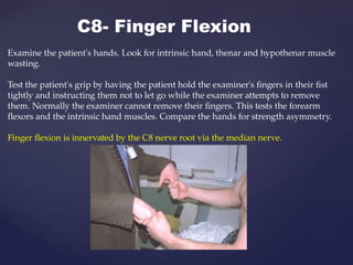 special test for dermatomes and myotomes | PPT