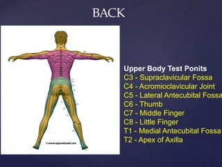 special test for dermatomes and myotomes | PPT
