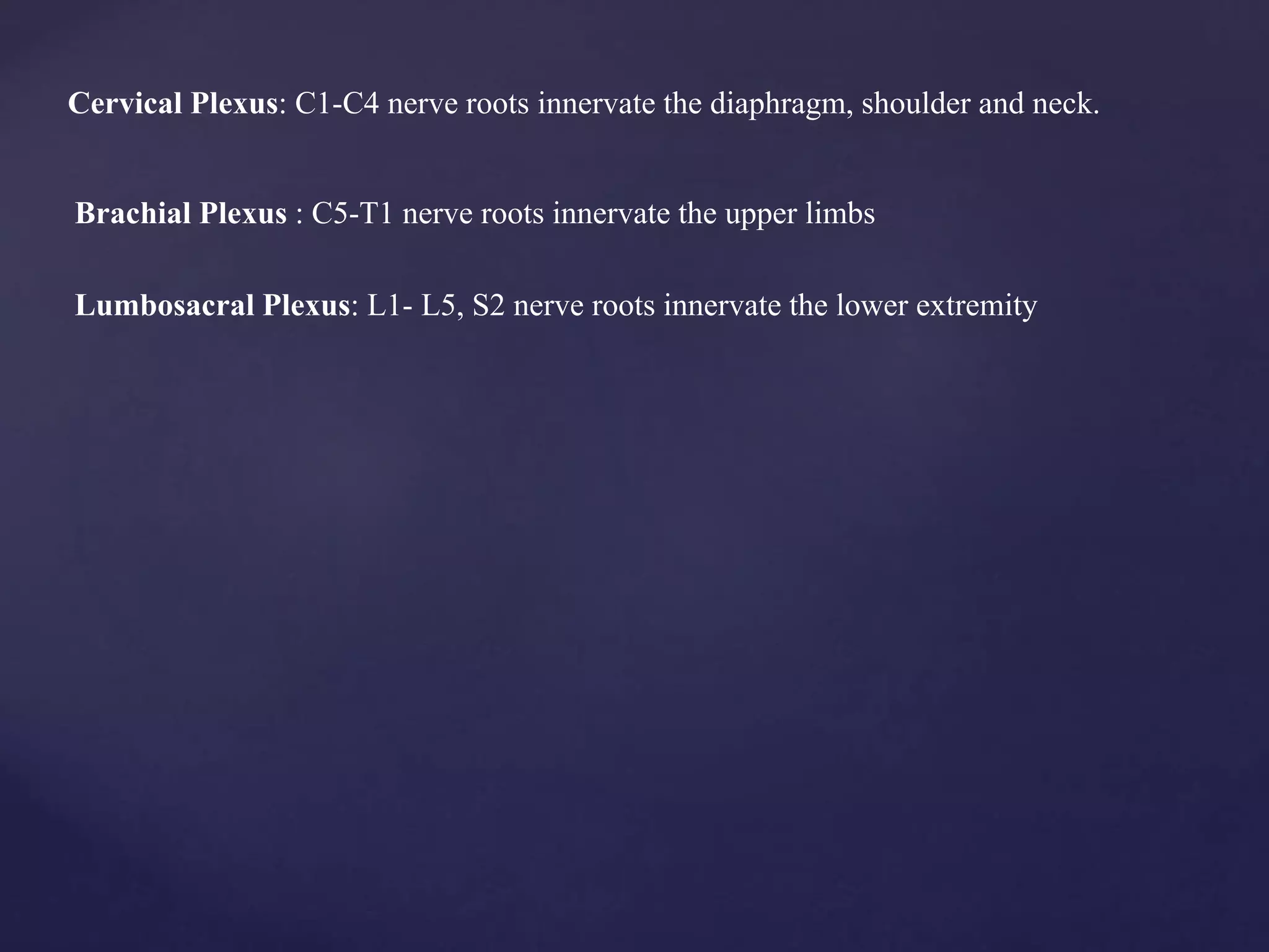 Special test for dermatomes and myotomes | PPTX