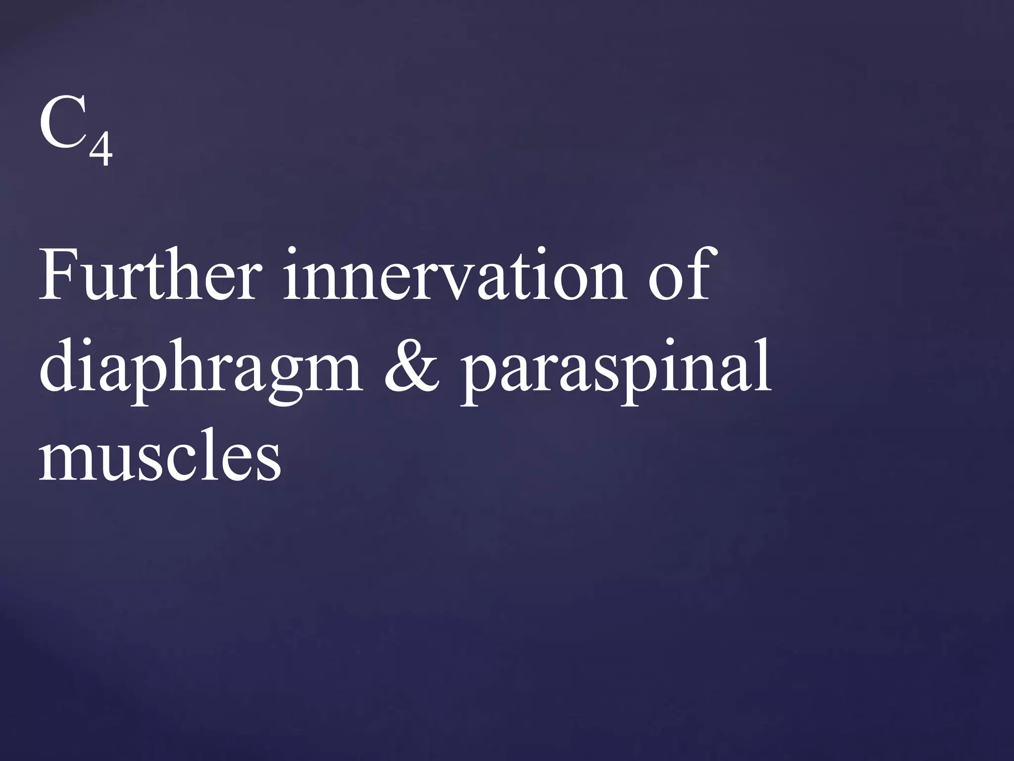 Special test for dermatomes and myotomes | PPTX
