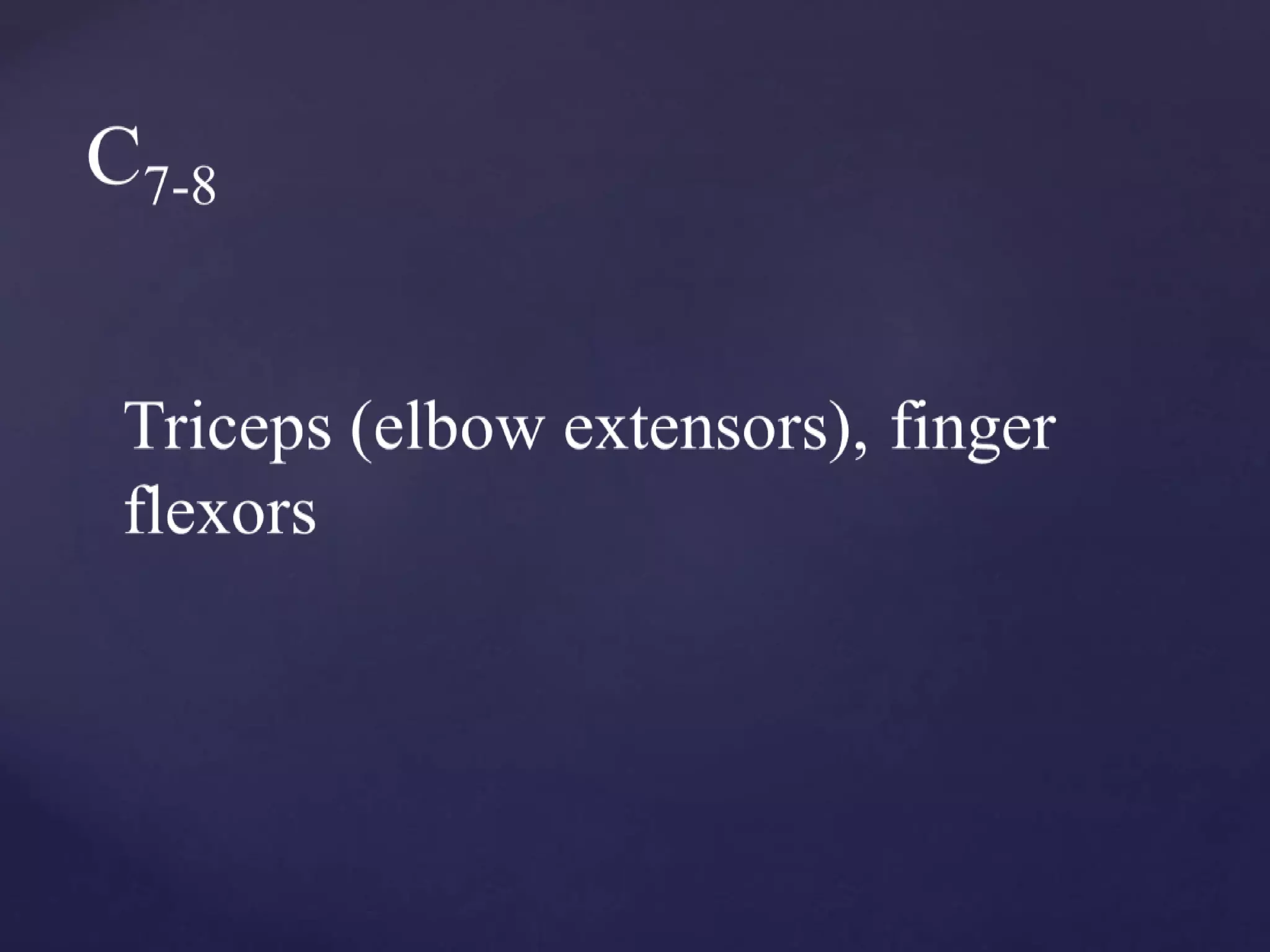 Special test for dermatomes and myotomes | PPTX