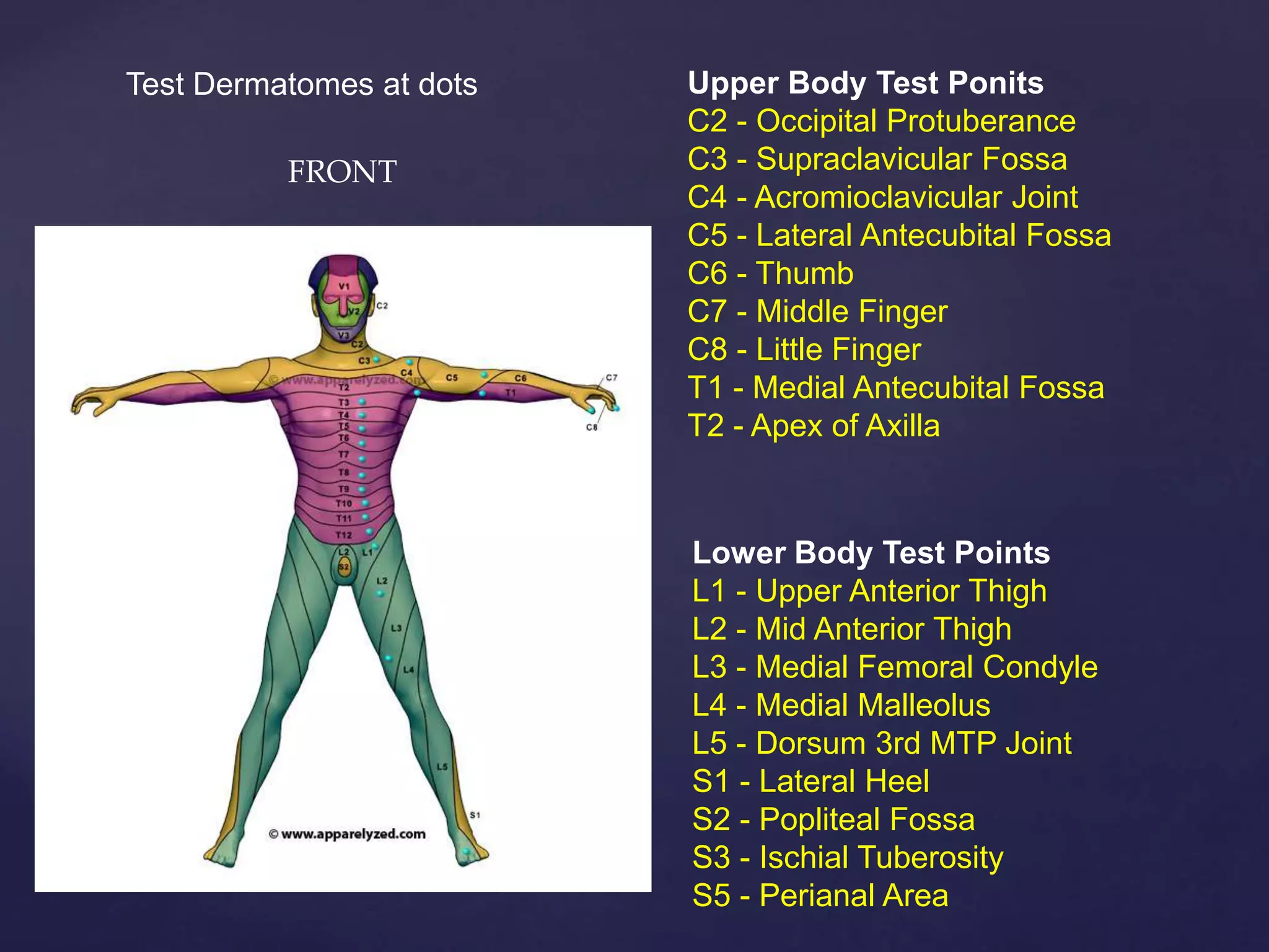 Special test for dermatomes and myotomes | PPTX