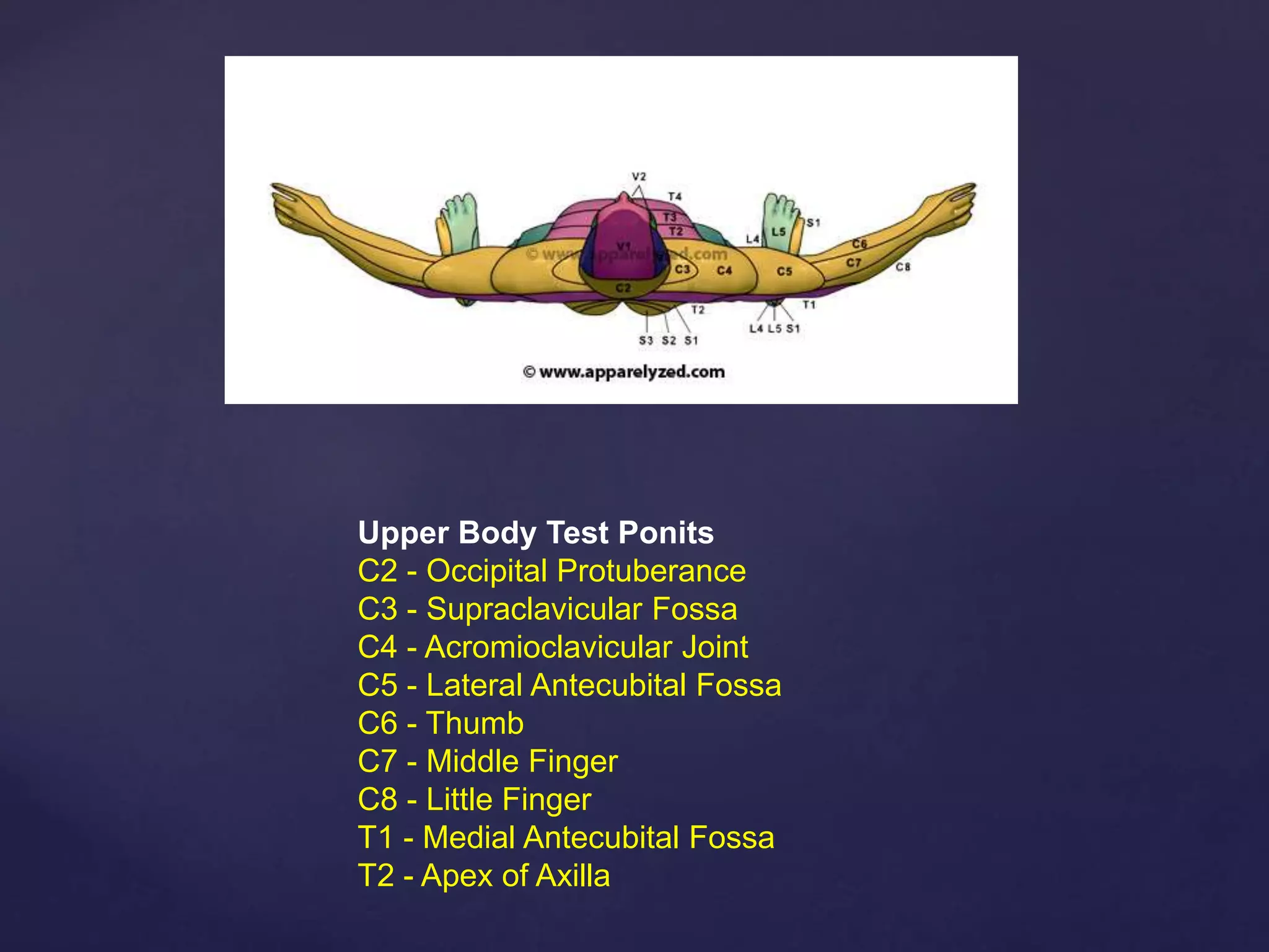 Special test for dermatomes and myotomes | PPTX