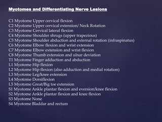 Special test for dermatomes and myotomes | PPTX