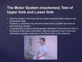 Special test for dermatomes and myotomes | PPTX
