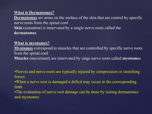 Special test for dermatomes and myotomes | PPTX