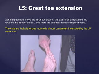 Special test for dermatomes and myotomes | PPTX