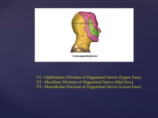 Special test for dermatomes and myotomes | PPTX