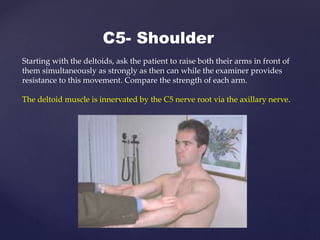 Special test for dermatomes and myotomes | PPT