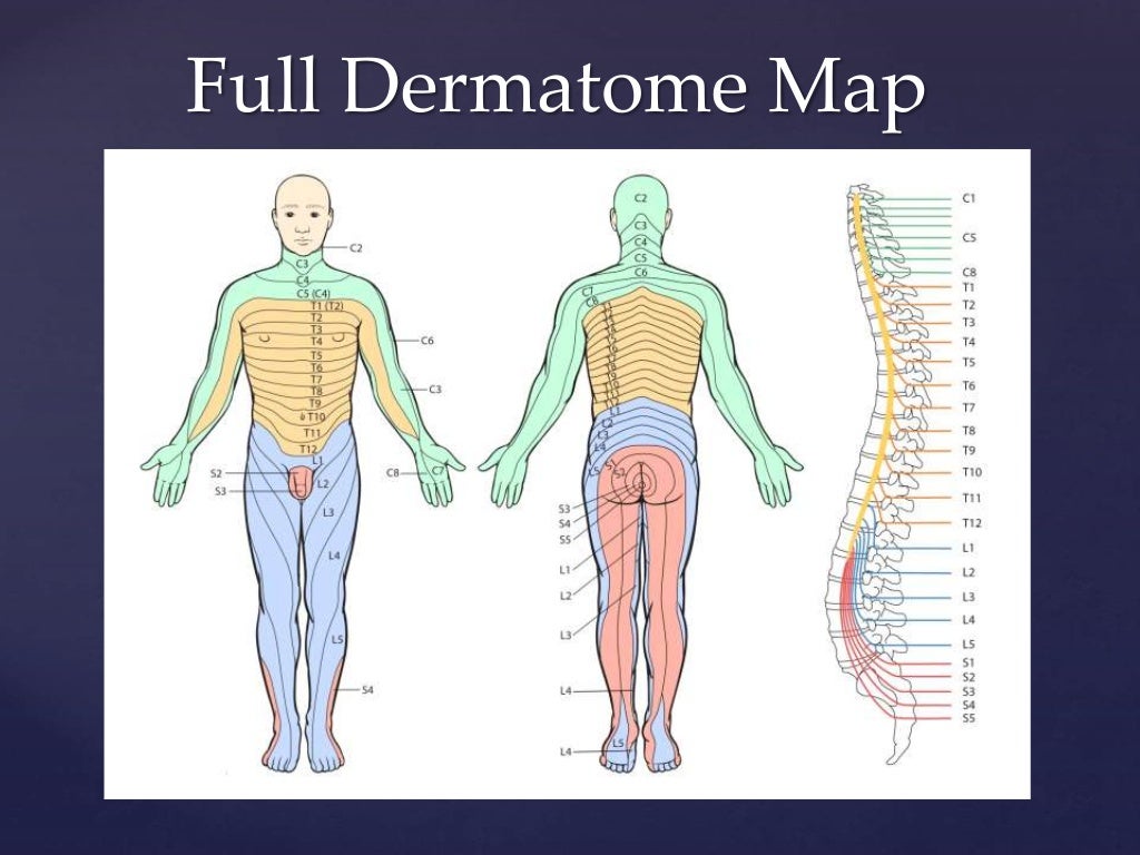 Special test for dermatomes and myotomes