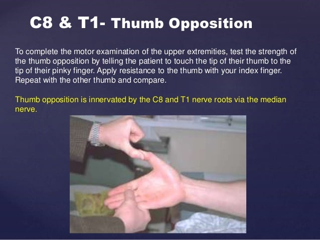 Special test for dermatomes and myotomes