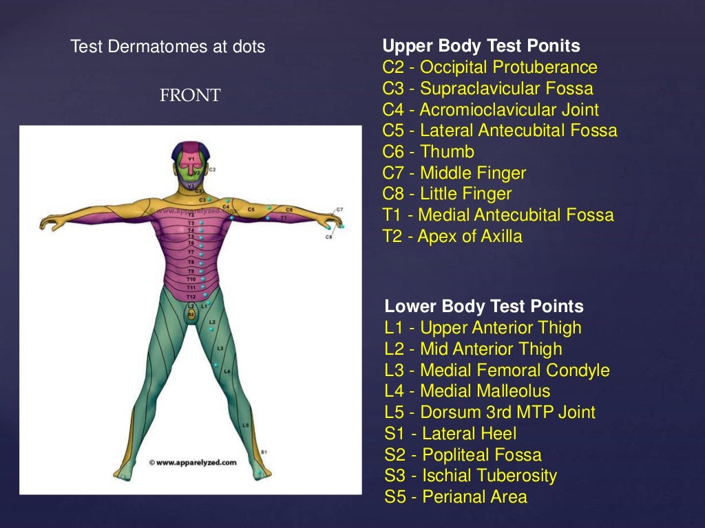 Special test for dermatomes and myotomes