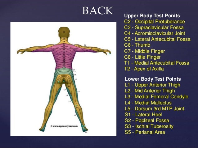 Special test for dermatomes and myotomes