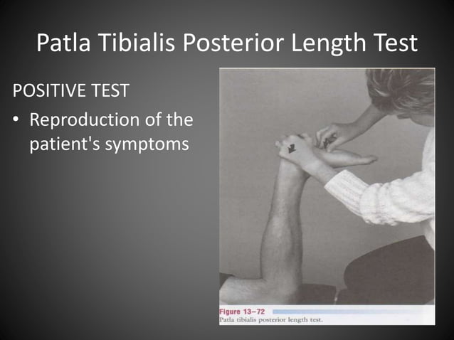 Special Tests for Lower Leg, Ankle, and Foot | PPTX | Death, Injury, or ...