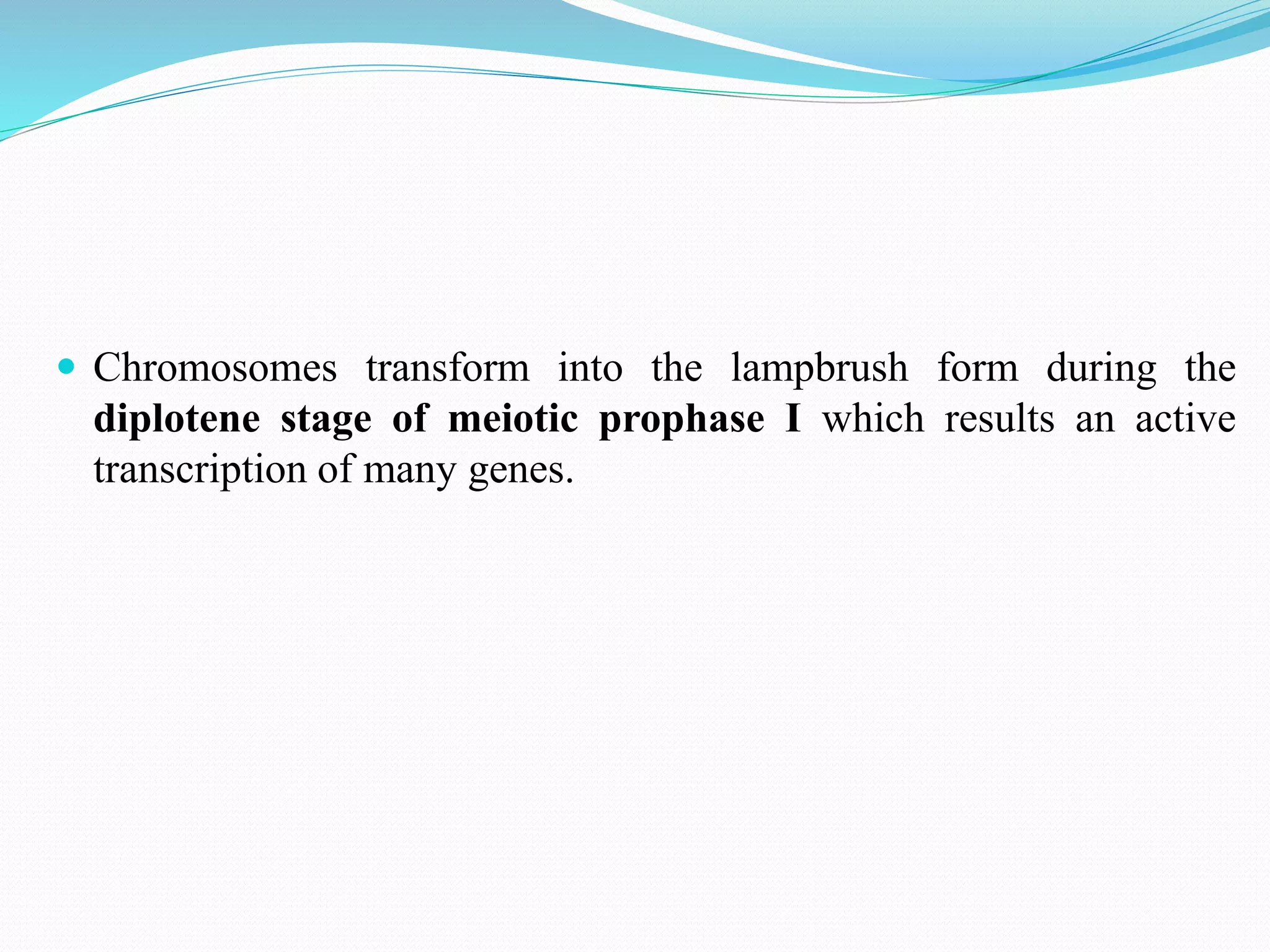 Special type of chromosomes | PPTX