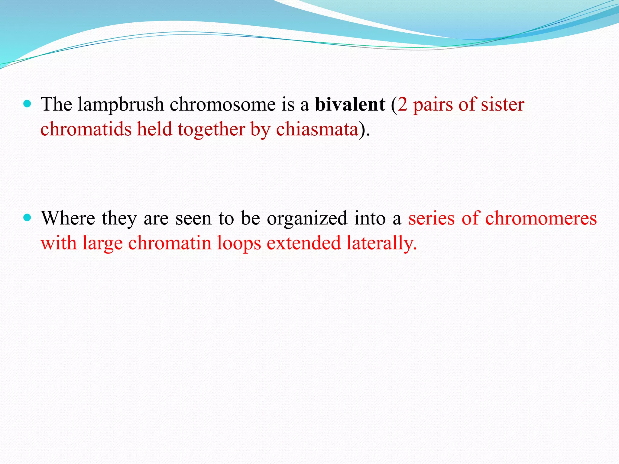 Special type of chromosomes | PPTX