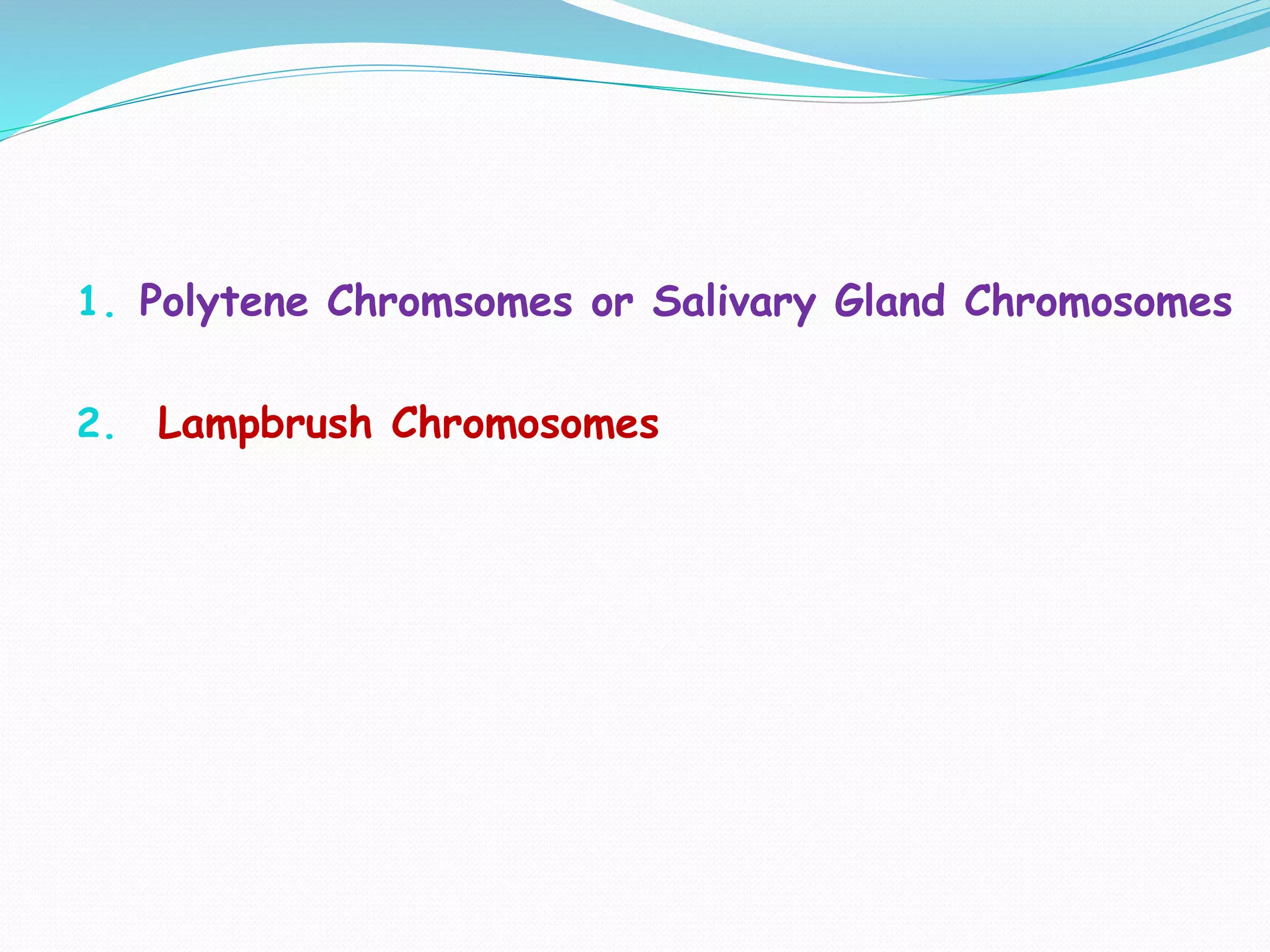 Special type of chromosomes | PPTX