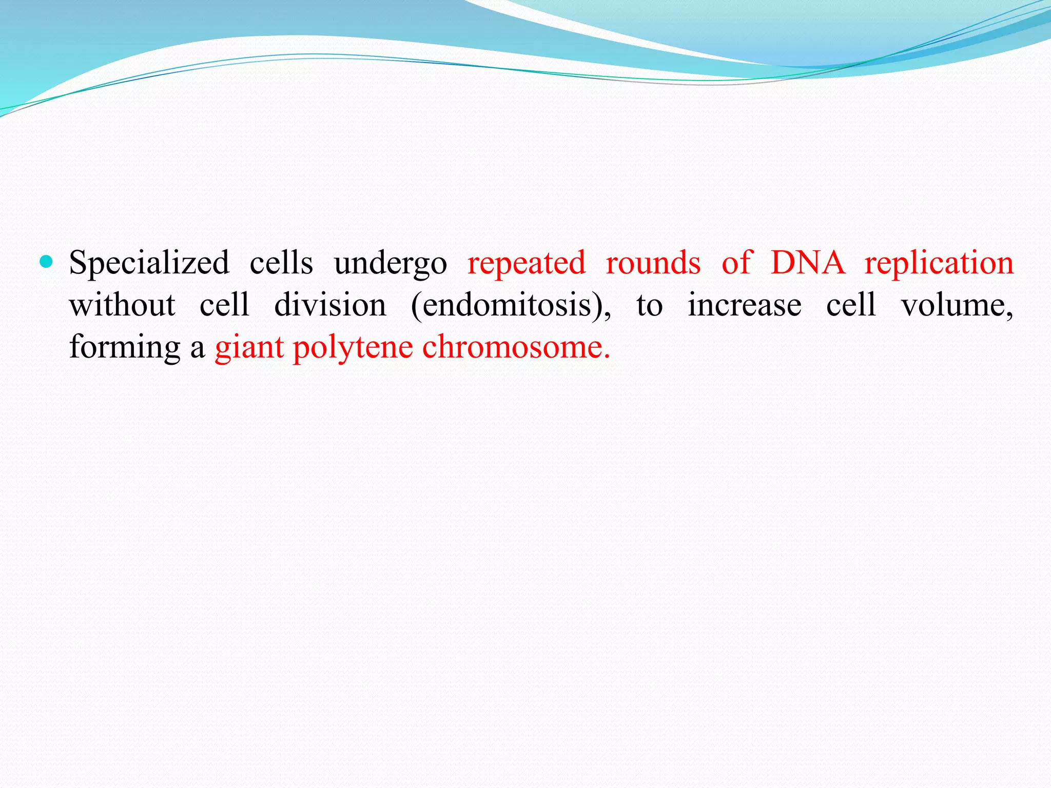 Special type of chromosomes | PPTX