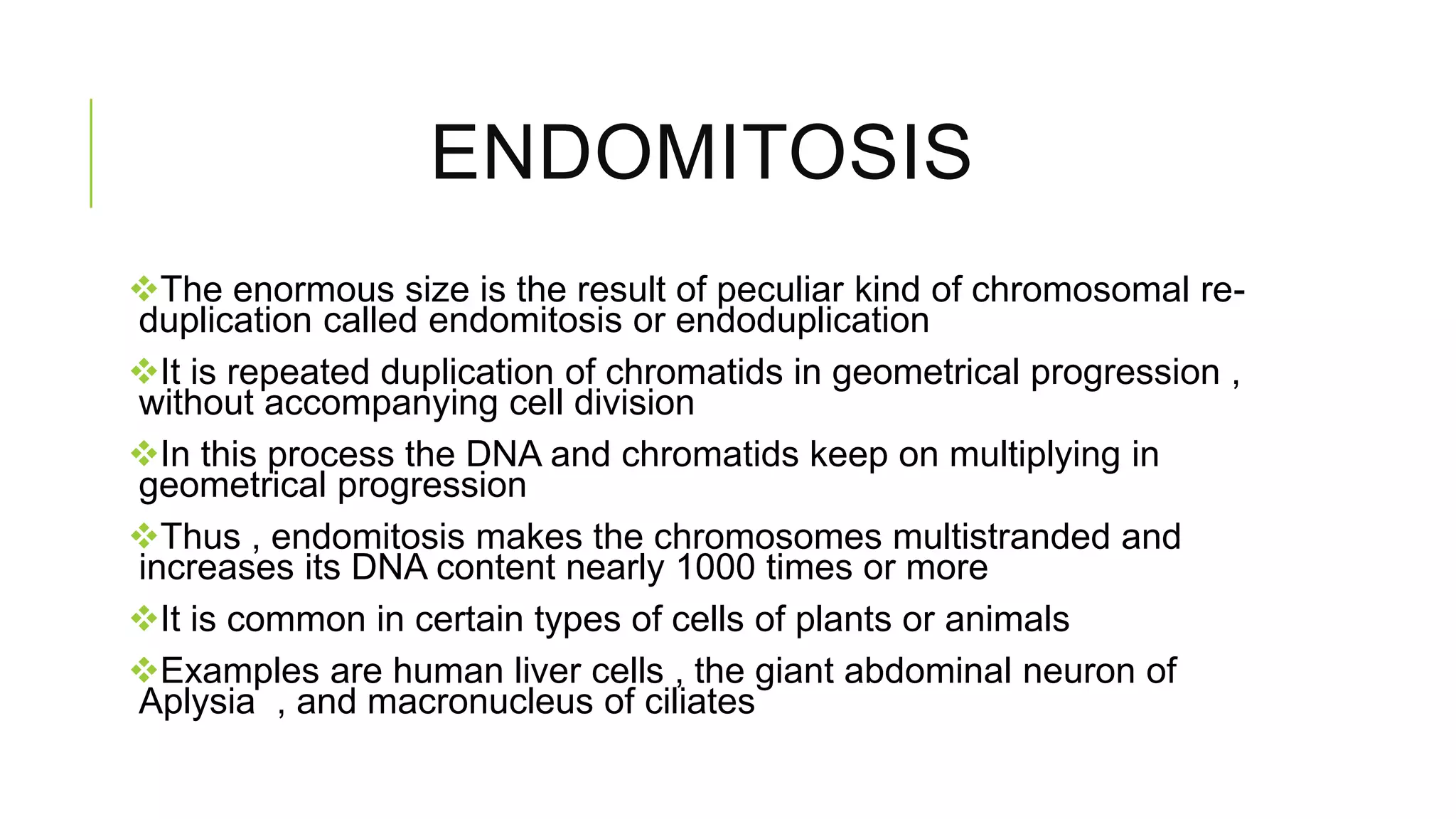 Special type of chromosomes | PPTX